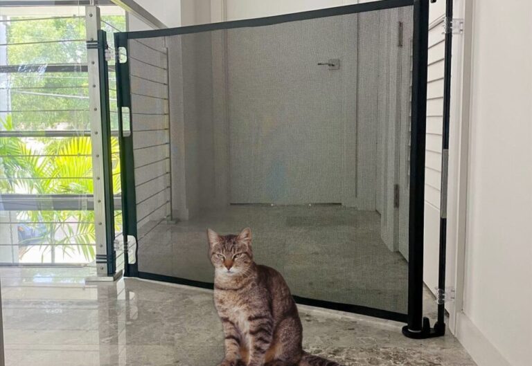 Retractable Cat Gate Tall Design | Retract-A-Gate